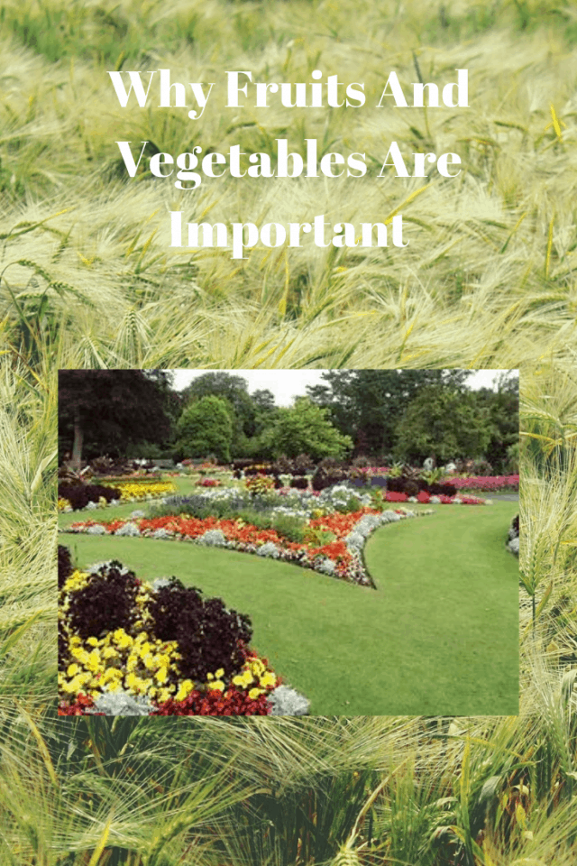 Why Fruits And Vegetables Are Important - Vegetarian Blog - Vegan Tips ...