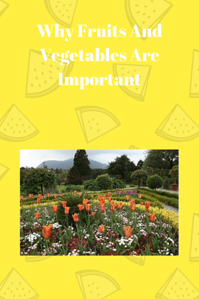 Why Fruits And Vegetables Are Important - Vegetarian Blog - Vegan Tips ...