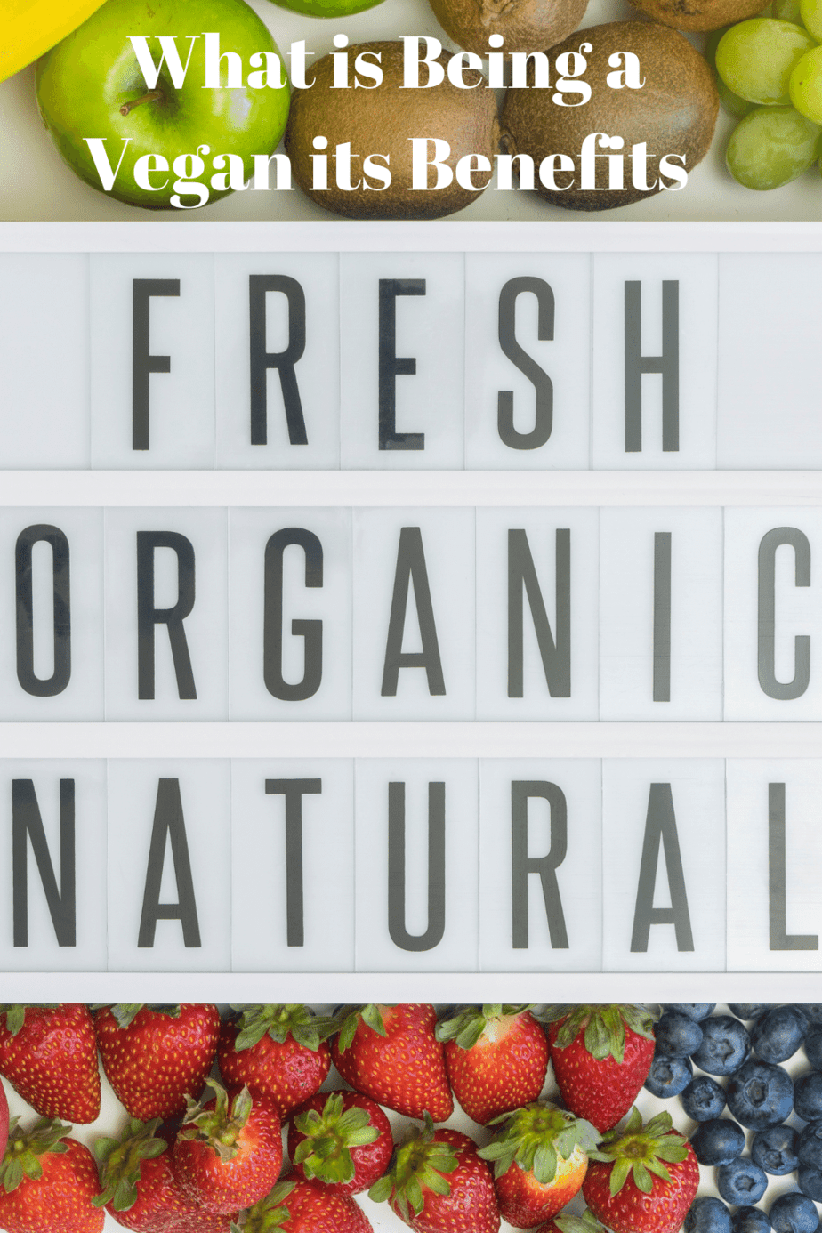 What is Being a Vegan its Benefits - Vegetarian Blog - Vegan Tips - Recipes
