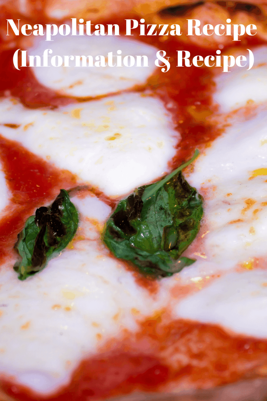 Neapolitan Pizza Recipe (Information & Recipe) - Vegetarian Blog ...