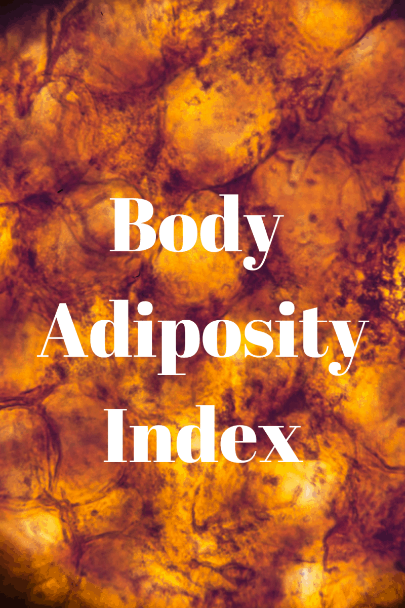 Body Adiposity Index - Vegetarian Blog - Vegan Tips - Recipes